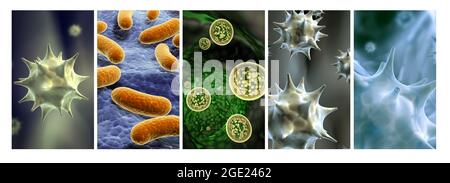Collection of horizontal or vertical banners with pathogenic bacterias ...