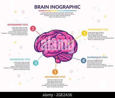 Human brain graph with colorful chart Stock Photo - Alamy
