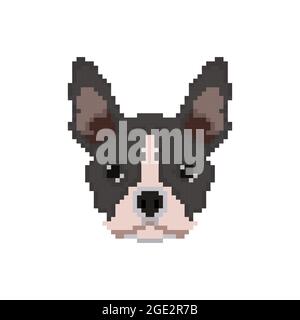 French Bulldog head in pixel art style. Dog vector illustration Stock ...