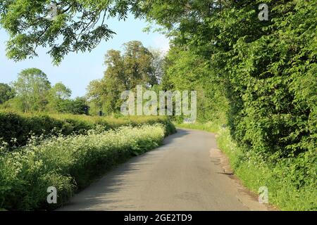 The Village, Great Chart, Ashford, Kent, England. 1910s Stock Photo - Alamy