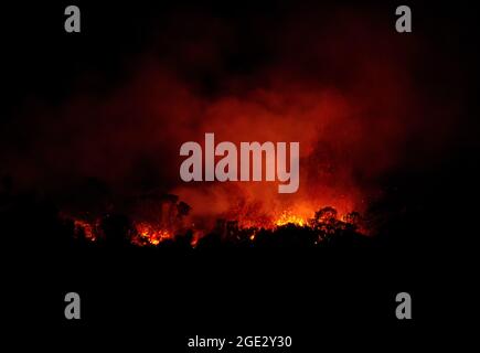 A fynbos wildfire burning through the night in the Western Cape, South ...