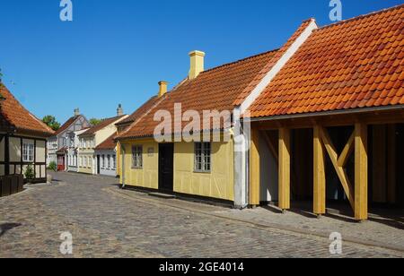 Odense, Hans Christian Andersen Museum with garden, modern architecture ...