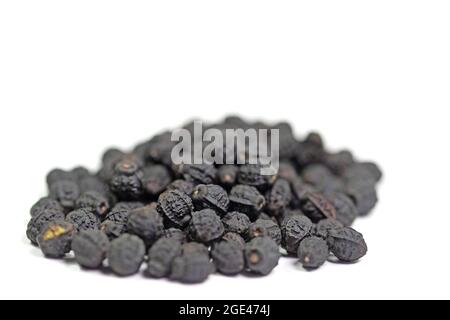 Fruits of the miracle flower, Mirabilis jalapa, against white ...