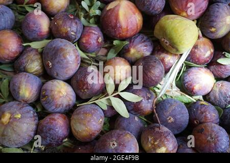 Fresh green and purple figs piled at a market in Chefchaouen, Morocco ...