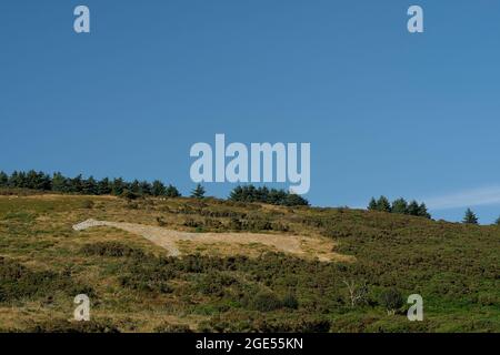 White Horse on the side of Waughton Hill near Strichen Aberdeenshire ...