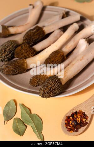 Composition of Spring morel mushrooms or Morchella conica on pink ...