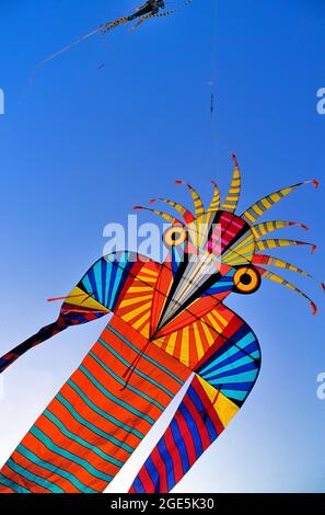 FRANCE, KITE FESTIVAL, FLAT KITE BY GEORGE PETERS USA KITE DESIGNER ...
