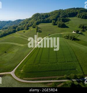 Tilled field with tramlines for tractors, aerial view, Dietisberg ...