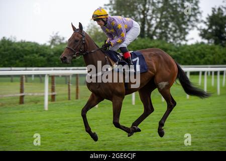 Josephine Gordon, Jockey Stock Photo - Alamy