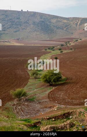 Central Jordan Valley. The Jordan Rift Valley, also Jordan Valley also ...