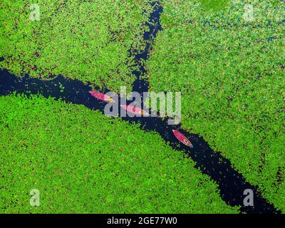 Aerial view of floating market of seasonal fruits on the boats in ...