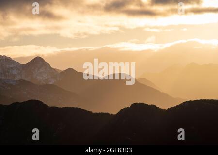 Misty hills, Paparoa Track, (one of NZ's great walks) Paparoa National ...