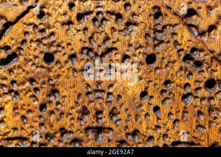 A surface with holes. Use for the concept and the concept of ...