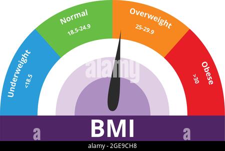 Body mass index meter. Infographic BMI dashboard with arrow. Weight ...