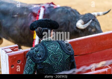 Bleeding bull looking at the matador Stock Photo - Alamy