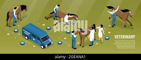 Farm animals veterinary isometric flowchart with health veterinary ...