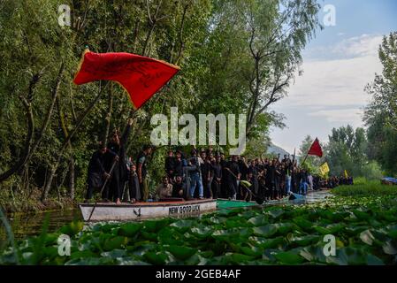 Shia Muslims participate in a religious procession on the 5th day of ...