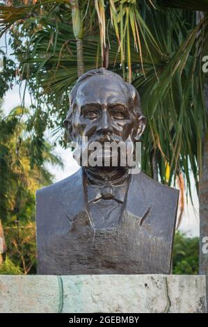 Carlos Finlay, Cuban epidemiologist, pioneer in the research of yellow ...