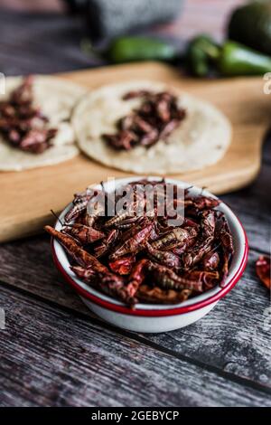 Chapulines, grasshoppers and guacamole snack traditional Mexican ...
