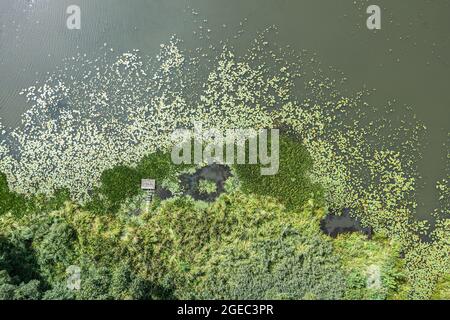 Aerial view of wetlands with winding water channels Stock Photo - Alamy