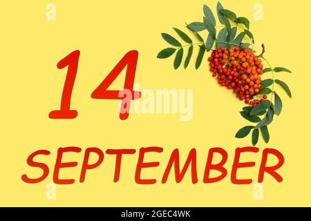 September 14th. Day 14 of month, Calendar date. Yellow sheet of the ...