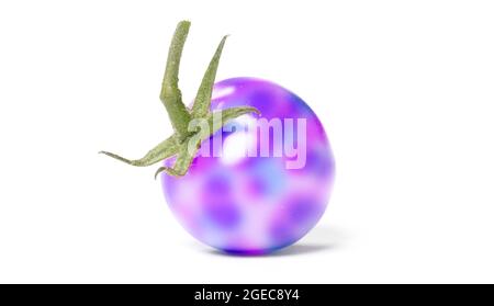Close up of a weird cherry tomato with leaf isolated on white ...