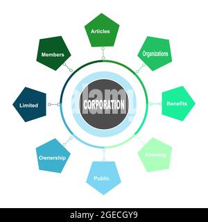Business ownership strategy infographic chart design element set Stock ...