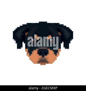 Rottweiler Vector Illustration Stock Vector Image & Art - Alamy