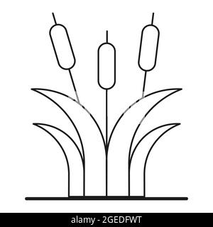 Reedmace sprouts. Ecological icons with plants. Isolated on white ...