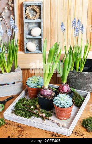 Florist workplace: potting spring flowers. Garden hobby Stock Photo - Alamy