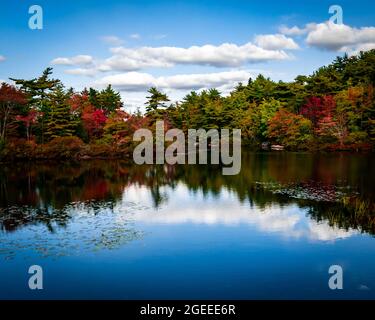 beautiful reflective surface of frog pond ,on a sunny autumn day Stock ...