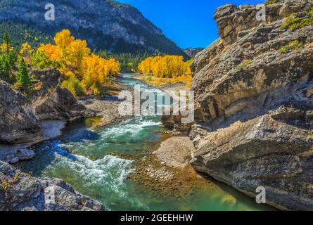 fall colors along the sun river in a canyon below gibson reservoir near ...