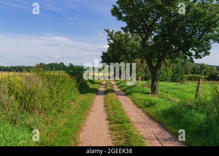 Undulating, uneven terrain covered with meadows and arable fields ...