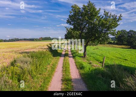 Undulating, uneven terrain covered with meadows and arable fields ...