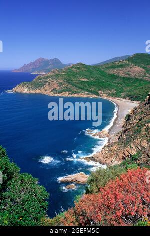 FRANCE. NORTHERN-CORSICA (2B) PORTO. THE BEACH OF CASPIO Stock Photo ...