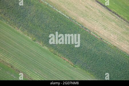 Structure of a rimmed cornfield from above, Friesland Stock Photo - Alamy