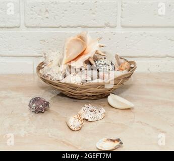 Dried red starfish on blue. Photo Stock Photo - Alamy