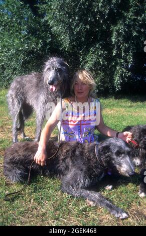 Babette Cole, English children's writer and illustrator at her home in ...