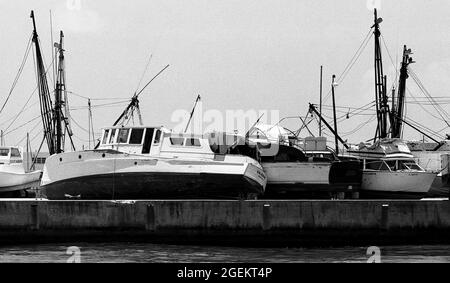 AJAXNETPHOTO. MAY, 1981. KEY WEST, FLA, USA. - IMPOUNDED MARIEL BOATS ...