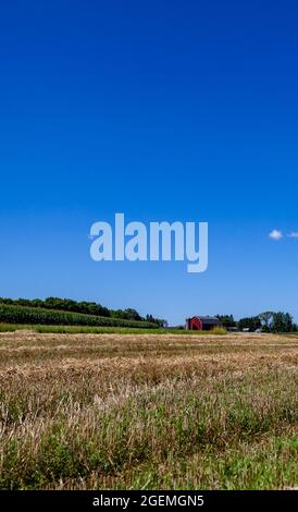 Wausau, Wisconsin farm with crops in August, horizontal Stock Photo - Alamy