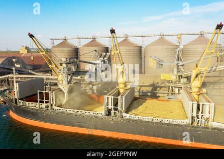 Loading grain into holds of sea cargo vessel through an automatic line ...