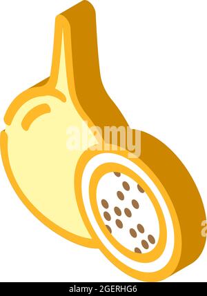 granadilla fruit color icon vector illustration Stock Vector Image ...