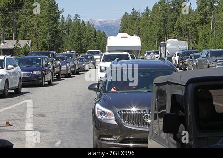 Vehicles lined up at West Entrance to Yellowstone National Park ; Date ...