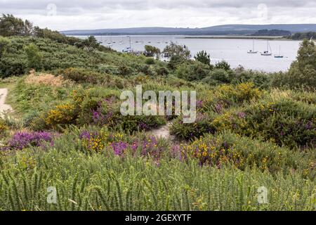 Ham Common Nature Reserve & Hamworthy Lake, Poole, Dorset Stock Photo ...