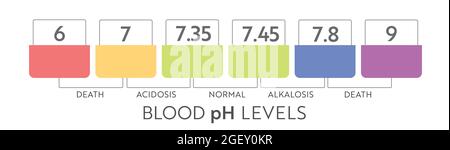 Human blood ph range. Medical illustration chart and scale. Acidic ...
