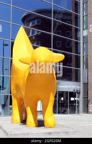 Super yellow lamb banana Stock Photo - Alamy