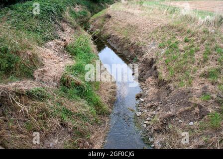 Narrow stream The Beck in ditch with steep banks with grass on them and ...