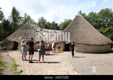 Roof structure of Iron Age roundhouse being built using traditional ...