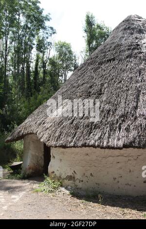 Roof structure of Iron Age roundhouse being built using traditional ...