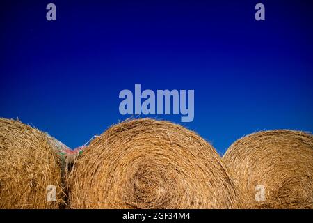 Stubble pressed straw for animals during the winter season Stock Photo ...